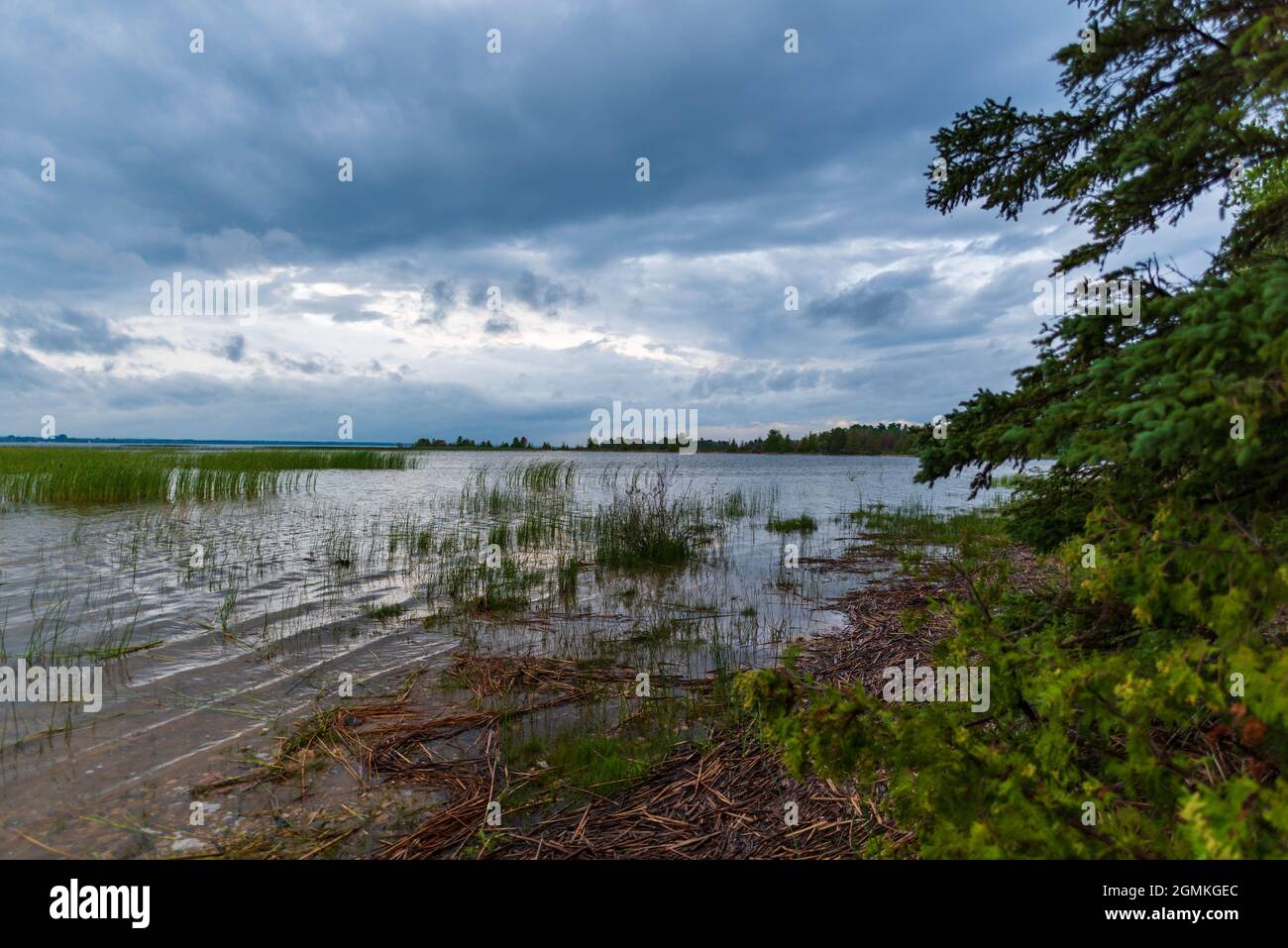 Beautiful lakeshore of Duncan Bay at Cheboygan State Park in northern ...