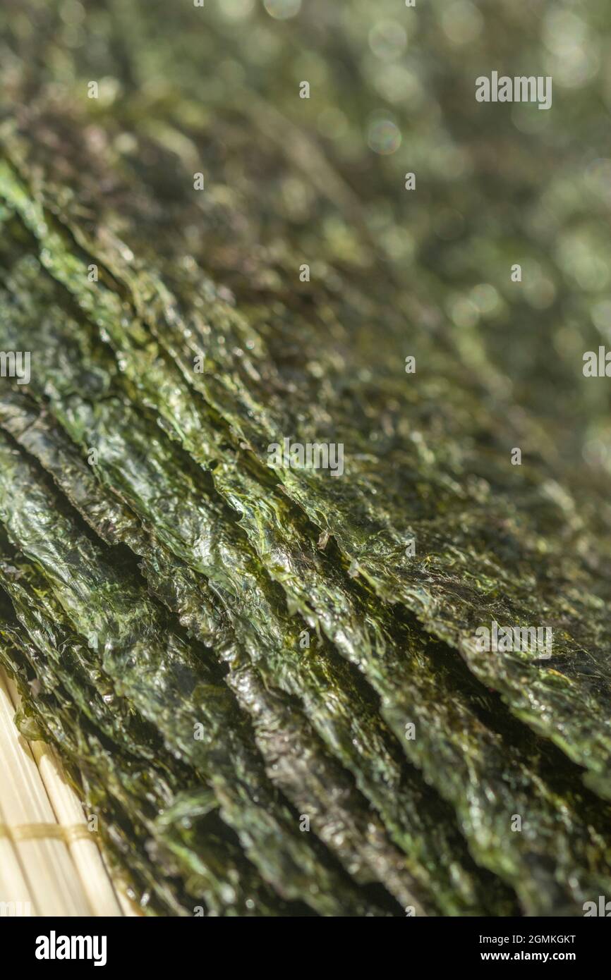 Pyropia tenera hi-res stock photography and images - Alamy