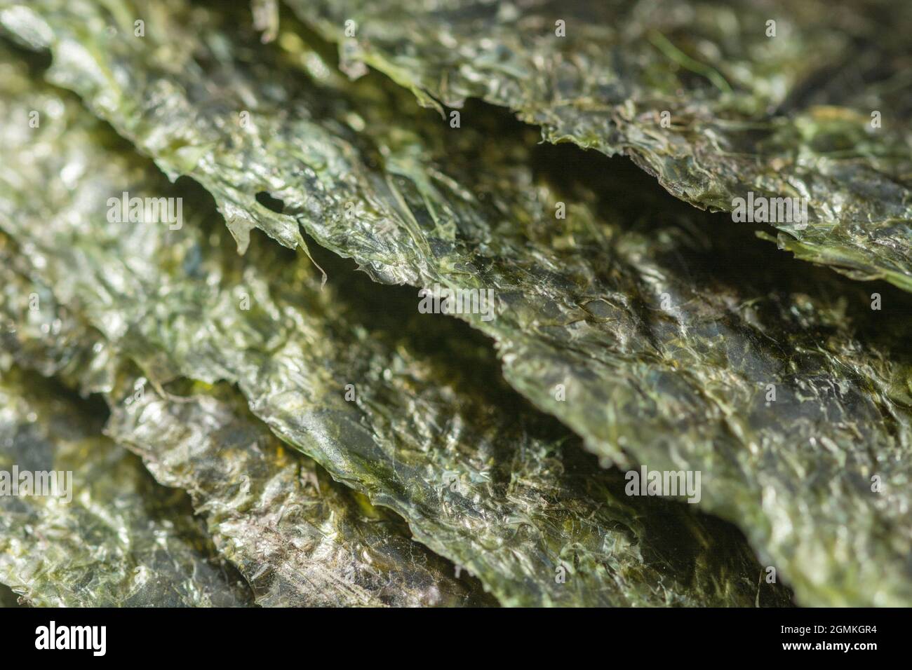 Sushinori hi-res stock photography and images - Alamy