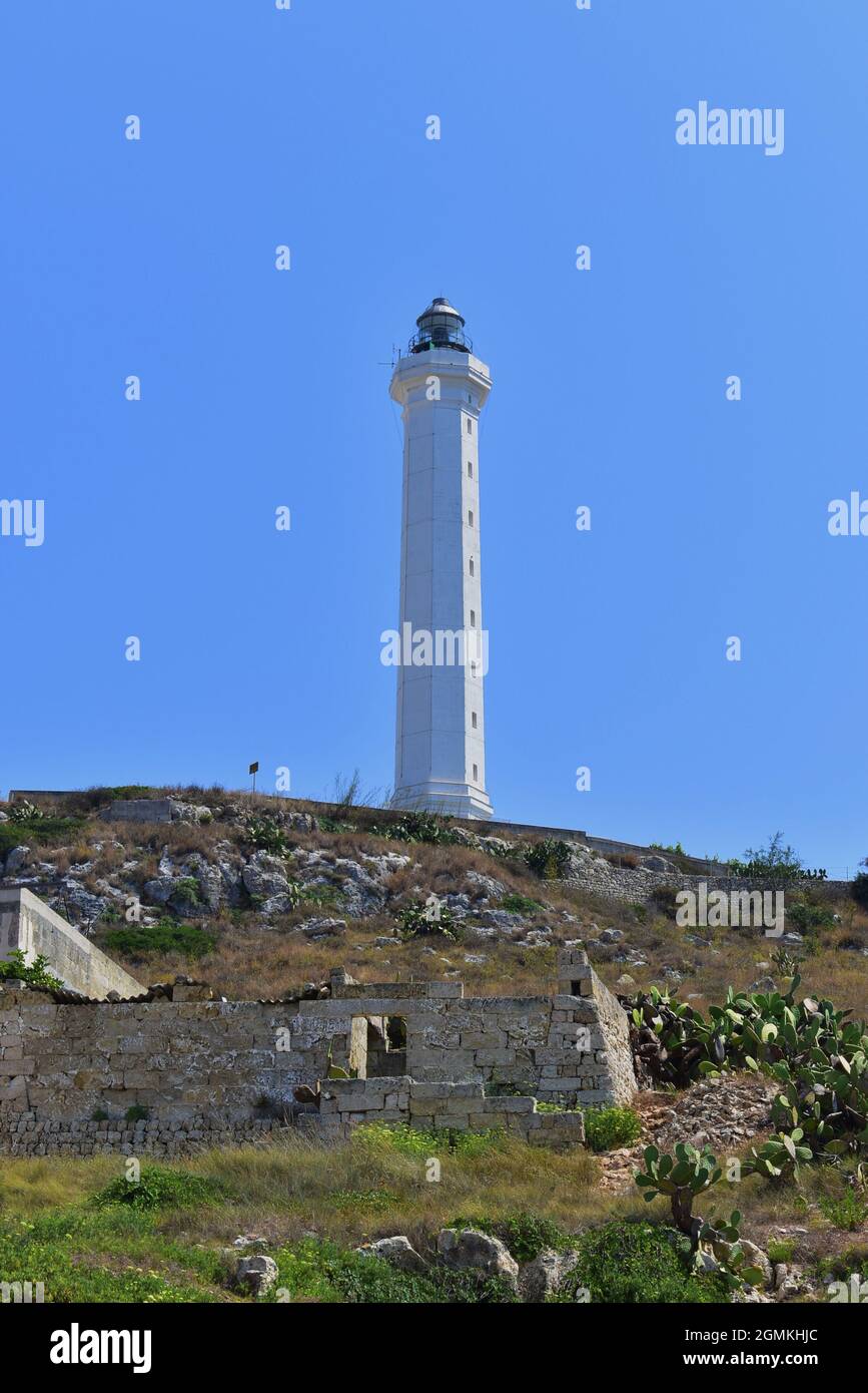 A vertical shot of the Santa Maria di Leuca lighthouse under the ...