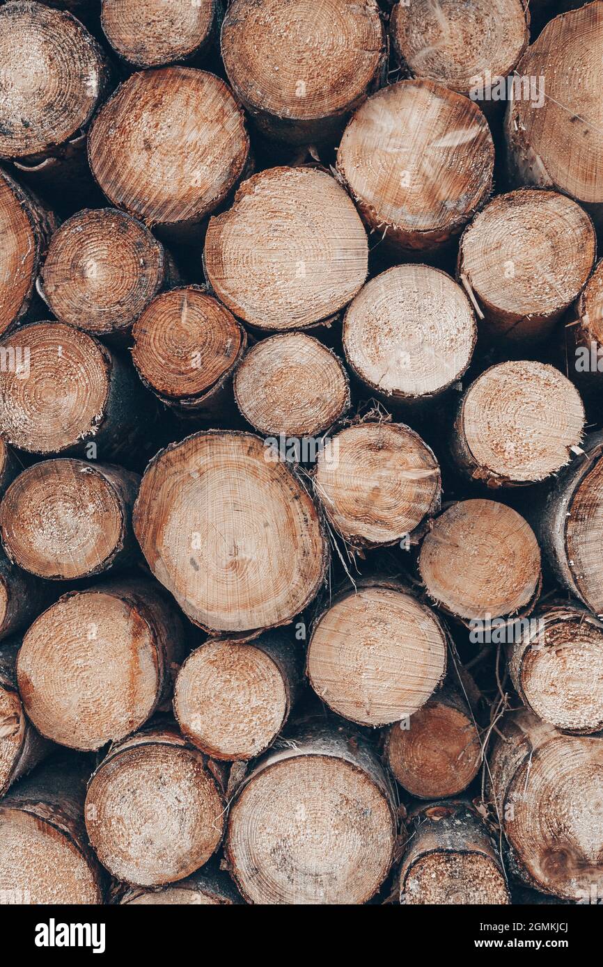 A vertical shot of wood circles pattern of cut tree trunks Stock Photo ...