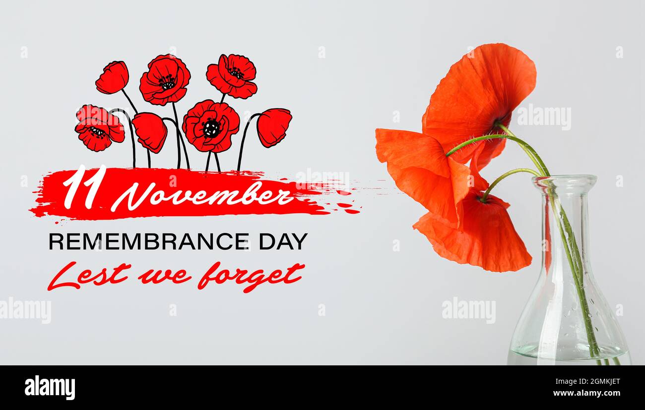Red poppy flowers in vase on light background. Remembrance Day in ...
