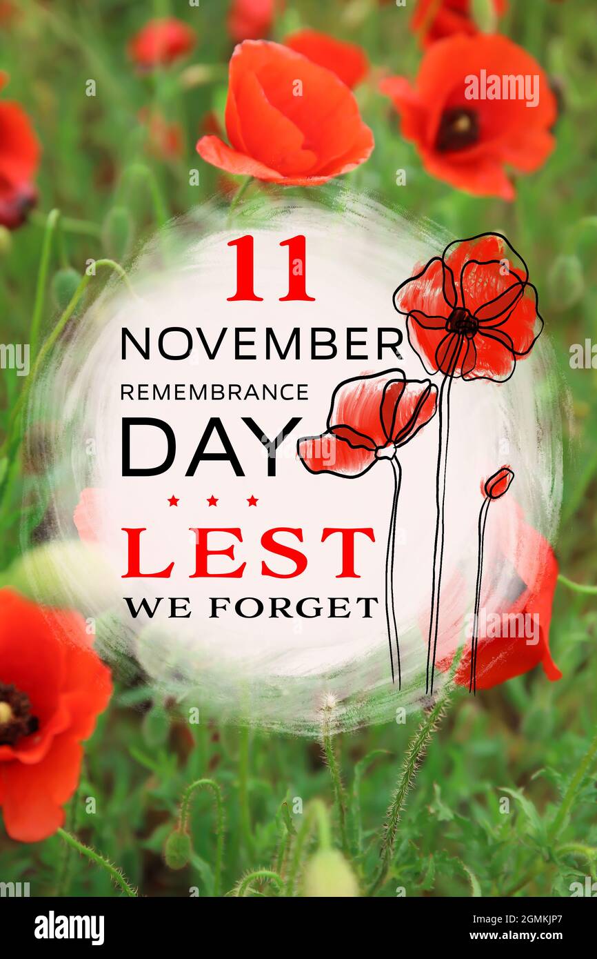 Red poppy flowers in field. Remembrance Day in Canada Stock Photo - Alamy