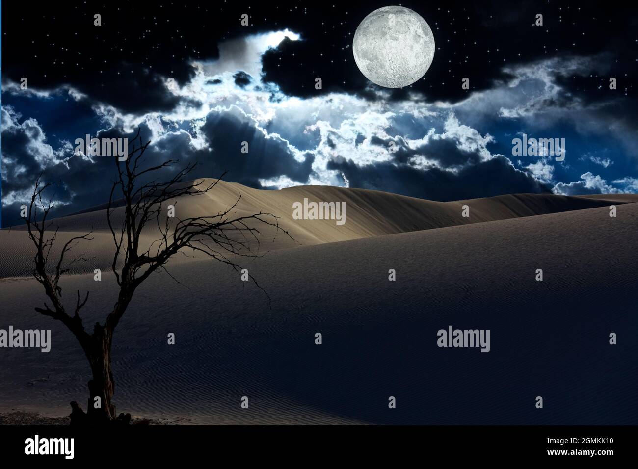 Dead tree in desert and full moon. 3D rendering Stock Photo - Alamy