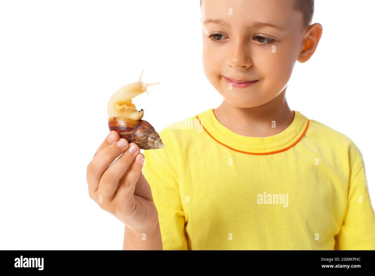 Cute little boy with snail on white background Stock Photo - Alamy
