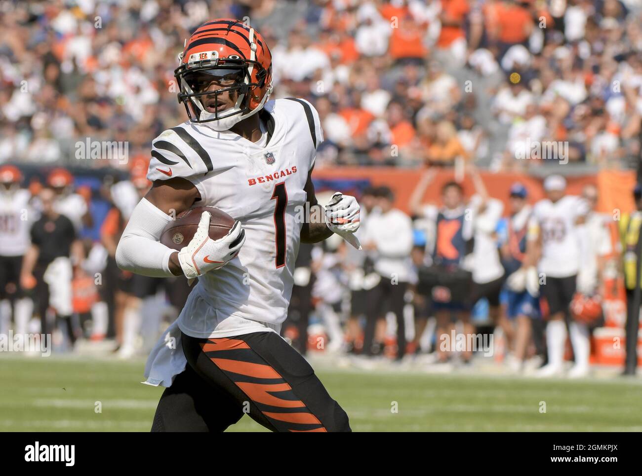 Jamarr chase hi-res stock photography and images - Alamy