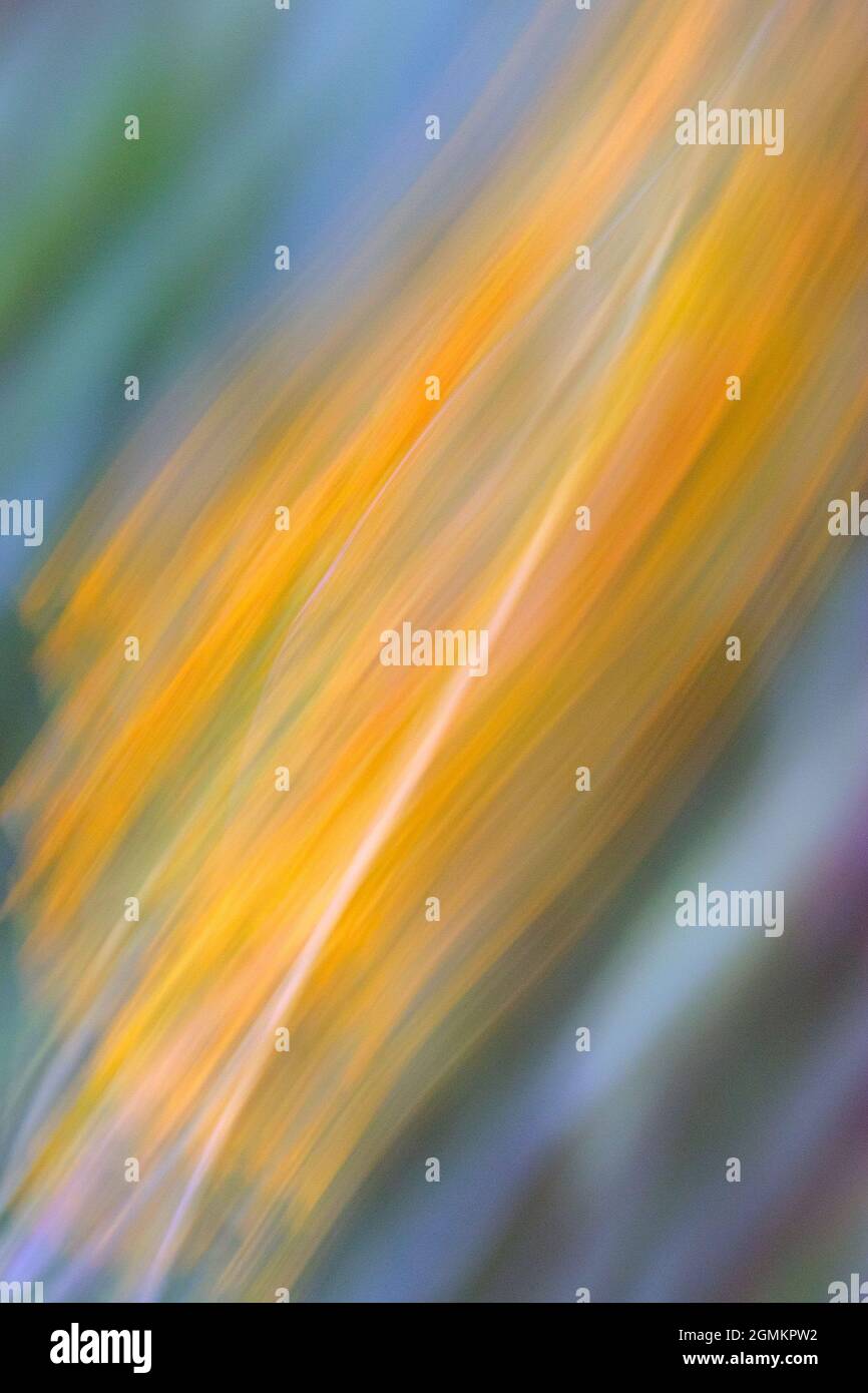 Abstract, altered reality photographic artwork Stock Photo - Alamy