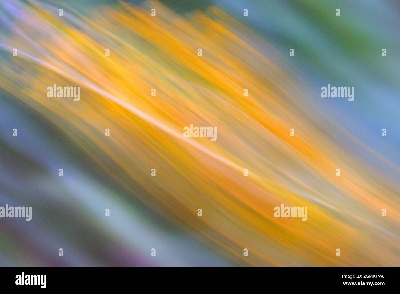 Altered reality art hi-res stock photography and images - Alamy