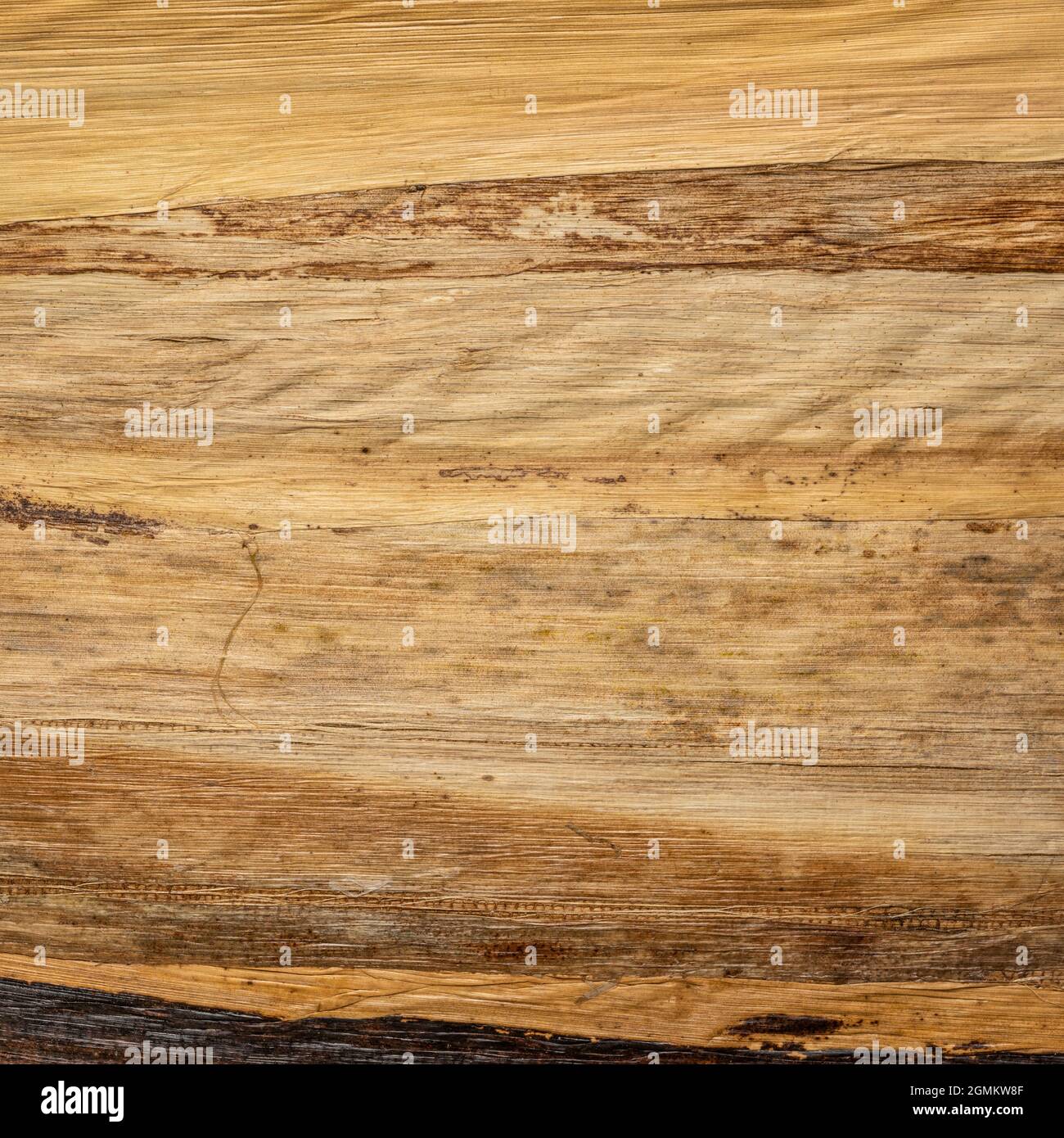Large Banana High Resolution Stock Photography and Images - Alamy