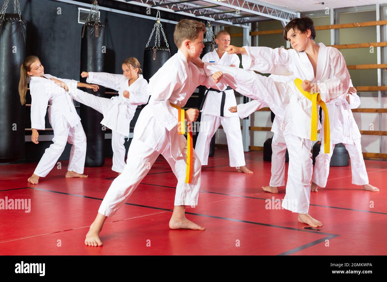 Kids working in pair, mastering kicks in karate class Stock Photo - Alamy
