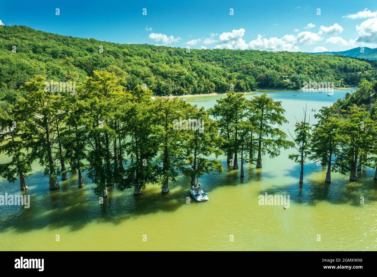 Cypress tree lake hi-res stock photography and images - Alamy