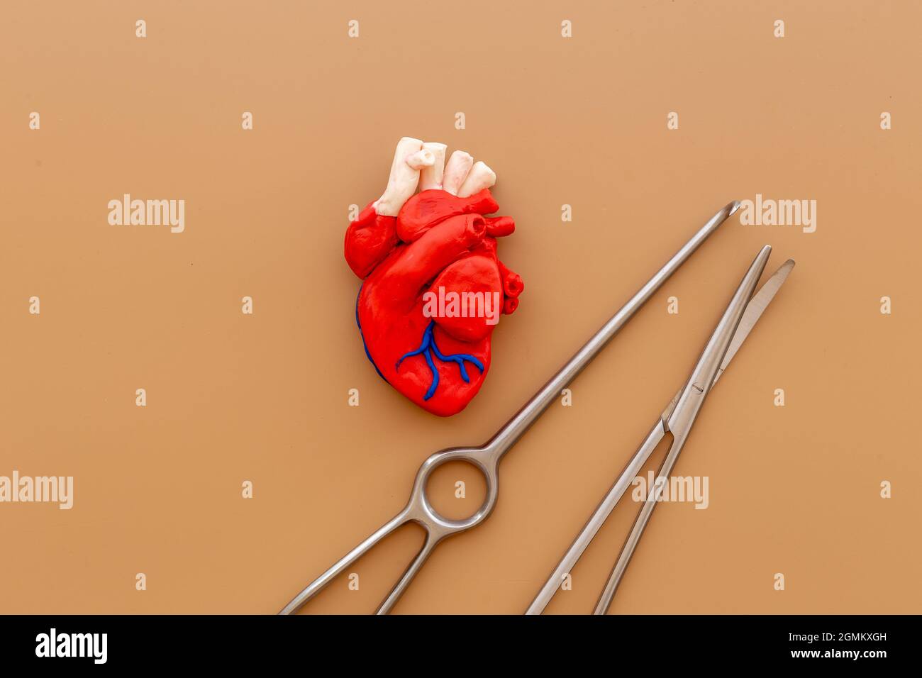 Surgical instruments and heart model. Heart surgery concept Stock Photo ...