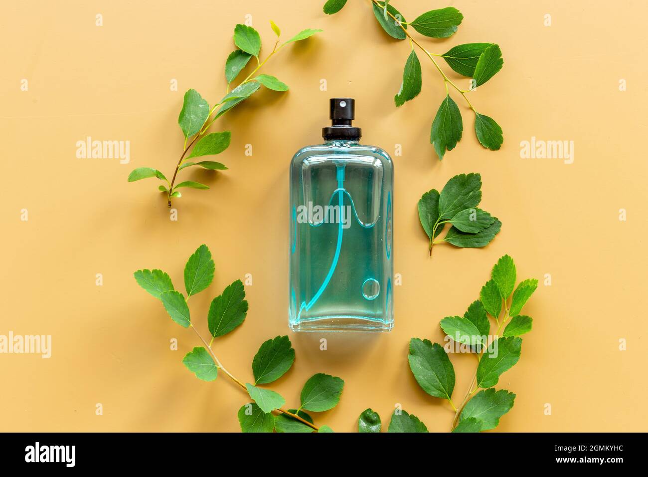 Agar wood tree with arabian oud oil perfume Stock Photo - Alamy
