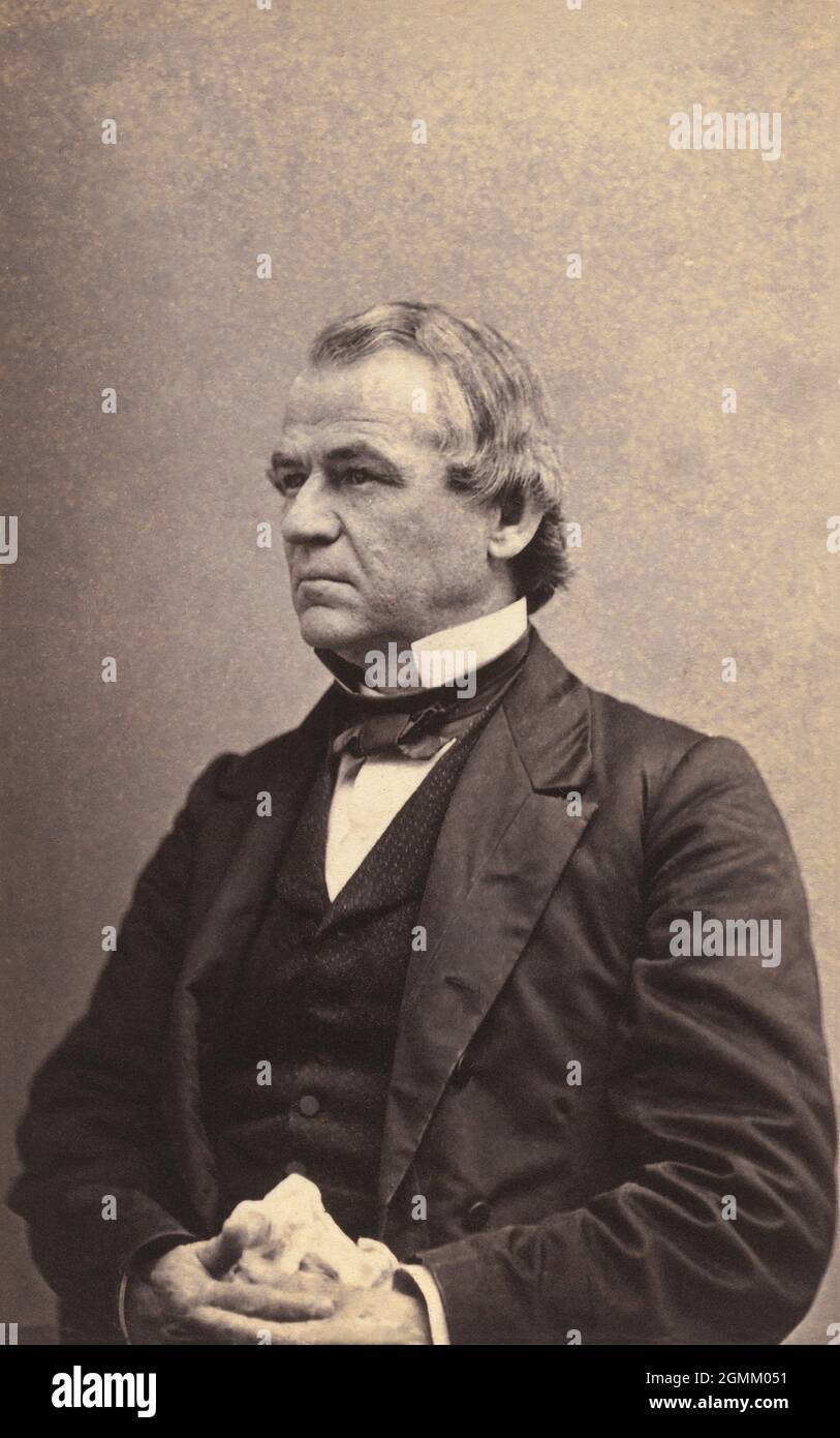 Andrew Johnson Presidential Portrait