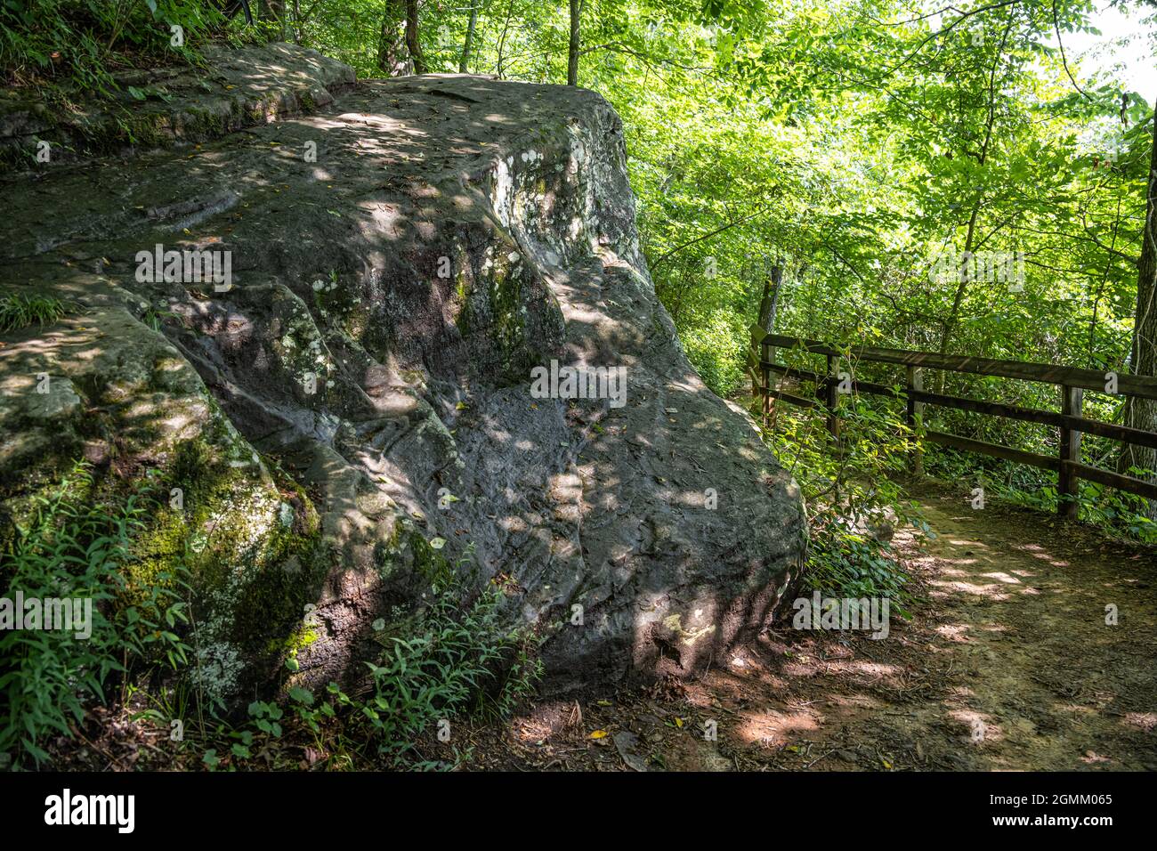 Riverside trail at Island Ford Park within the Chattahoochee River ...