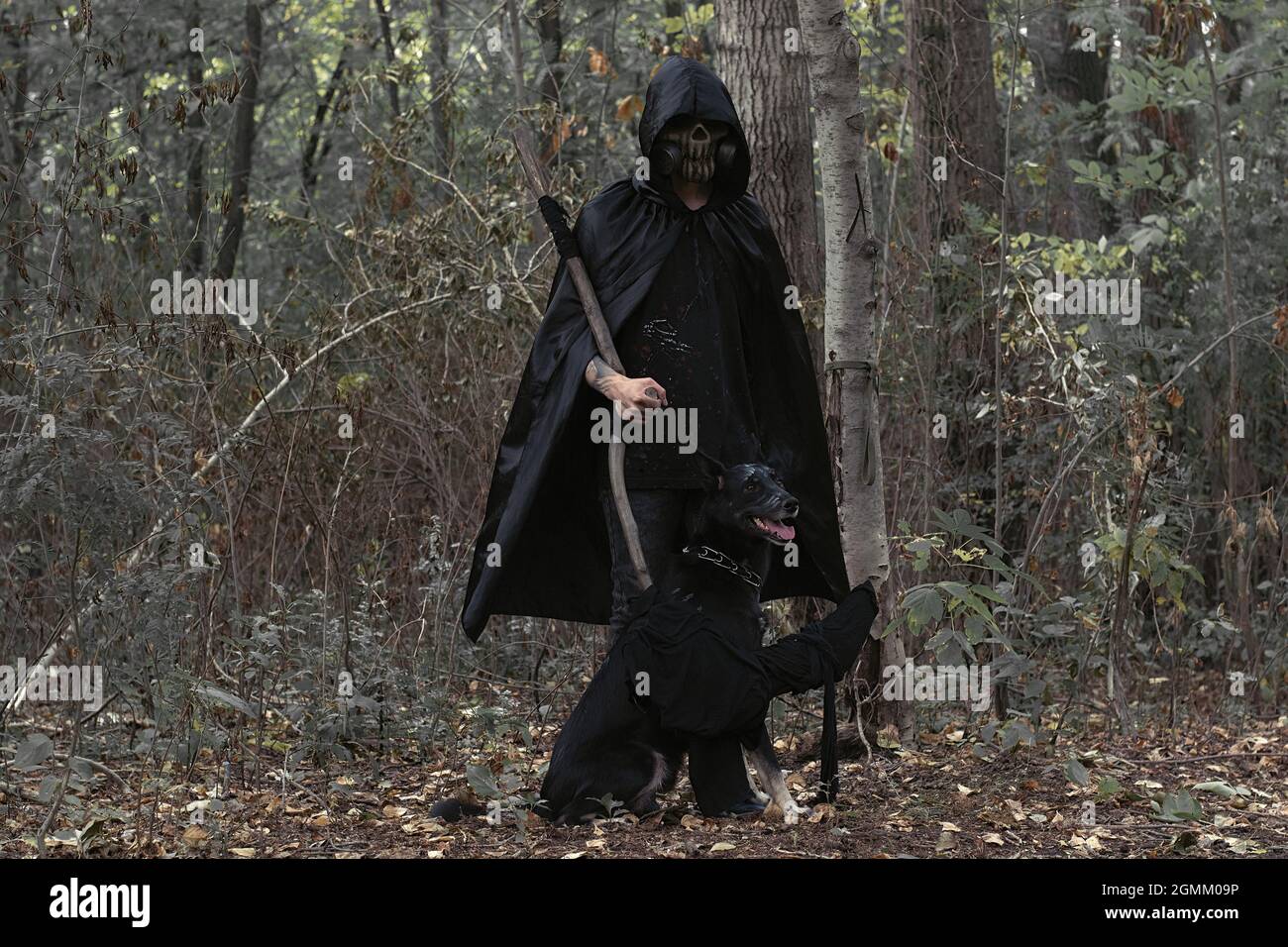 Scary dog in the night hi-res stock photography and images - Alamy