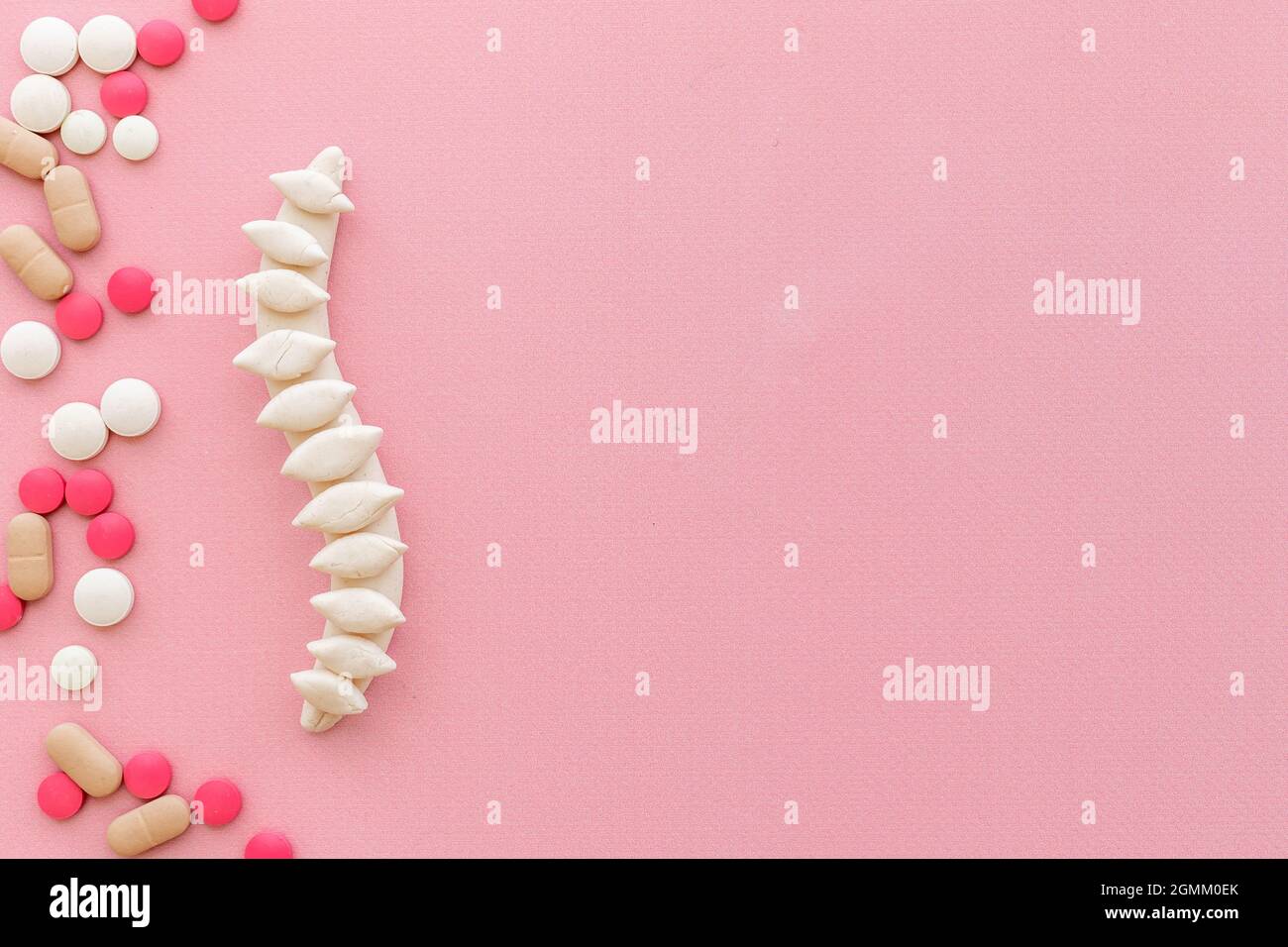 Anatomical spine skeleton with medical pills. Spinal diseases treatment ...