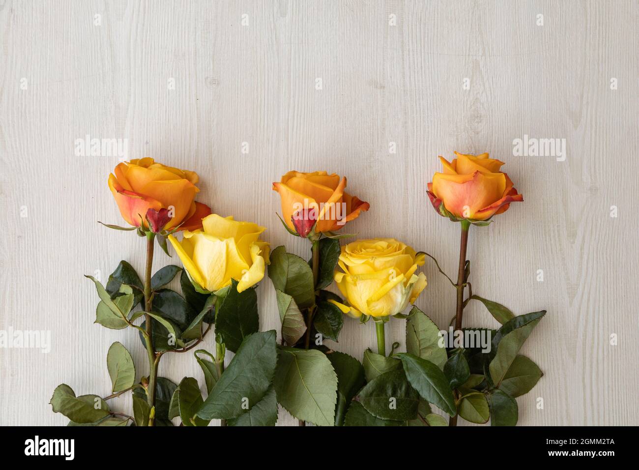 bouquet of yellow roses with orange edge lying neatly on a wooden table ...