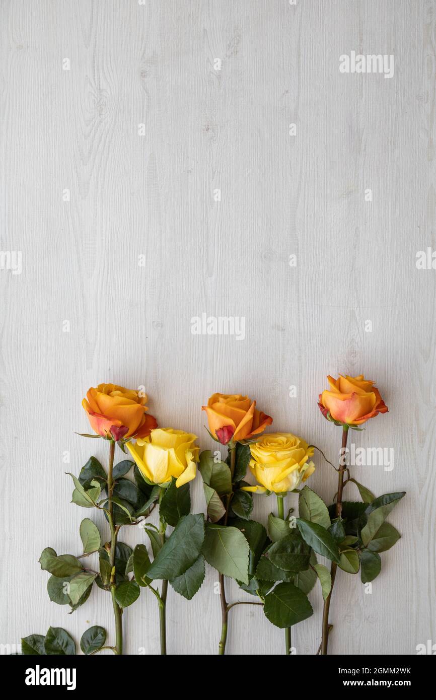 yellow roses with orange edge arranged on a wooden table, detail of the ...