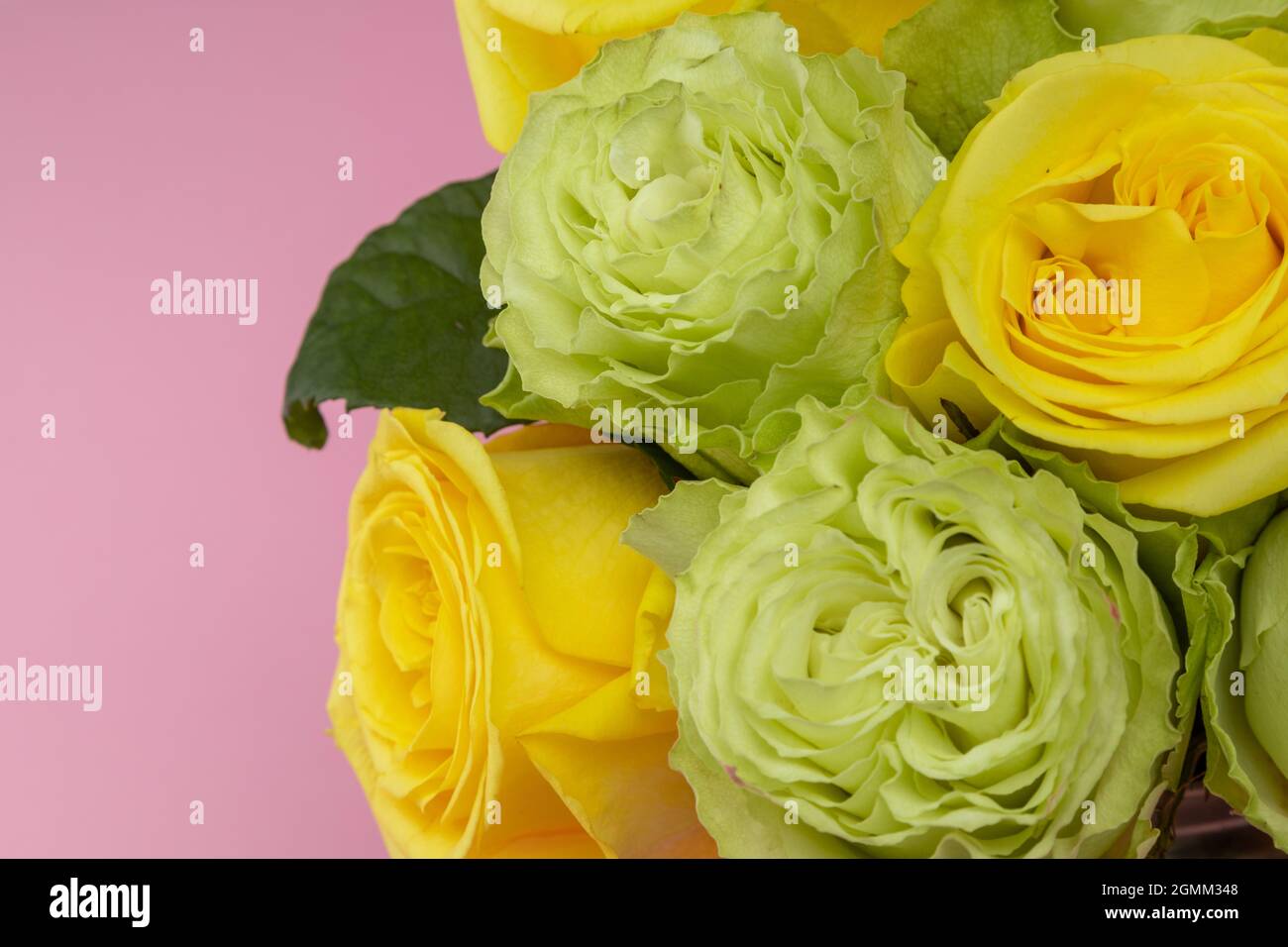 closeup to the head of roses in a bouquet, floral arrangement with ...