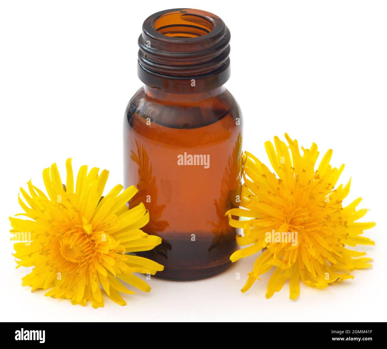 Medicinal dandelion and extract in a bottle Stock Photo - Alamy