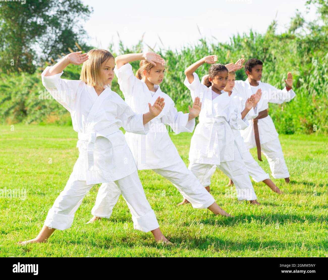 Group of young children doing karate kicks during karate class in park ...
