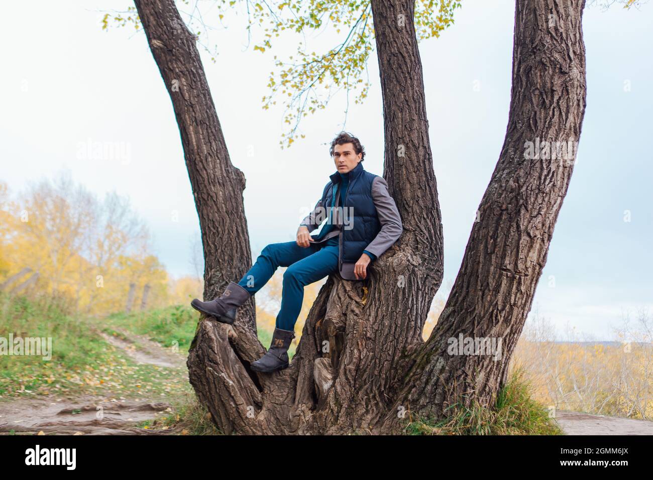 Tall handsome man climbing on the tree in yellow autumn forest Stock ...