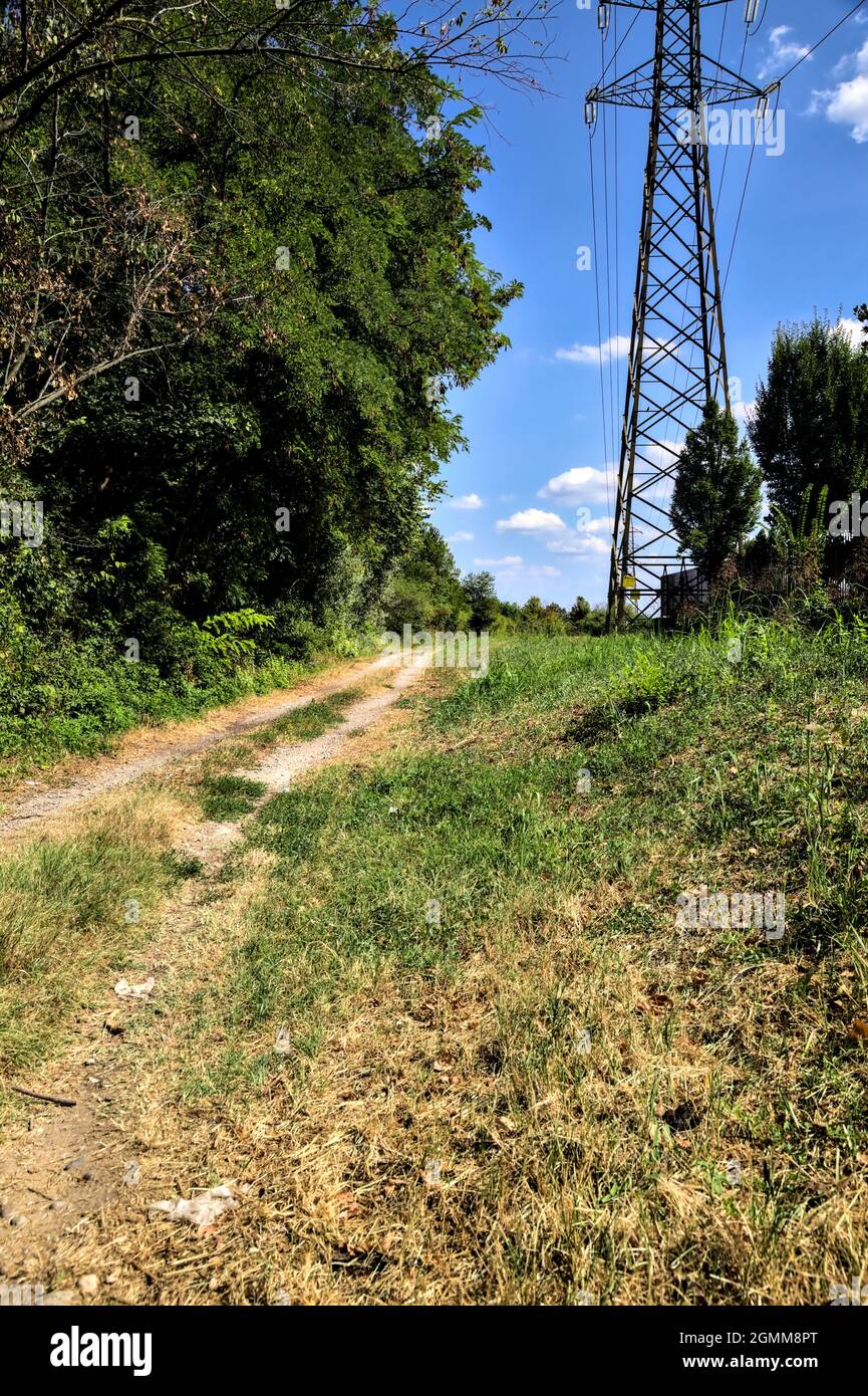Dirt path in the countryside bordered by trees with a pylon next to it ...