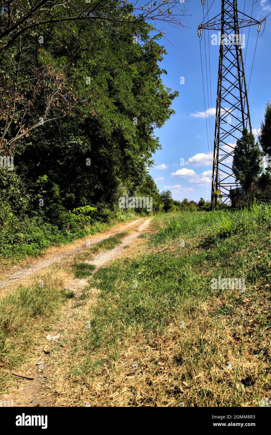 Dirt path in the countryside bordered by trees with a pylon next to it ...