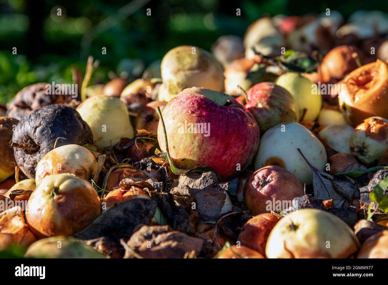 Reducing toxic hi-res stock photography and images - Alamy