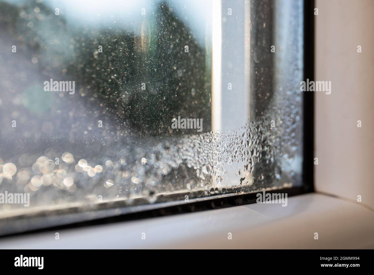 Water condensate on a white plastic window. Mold and energy efficiency ...