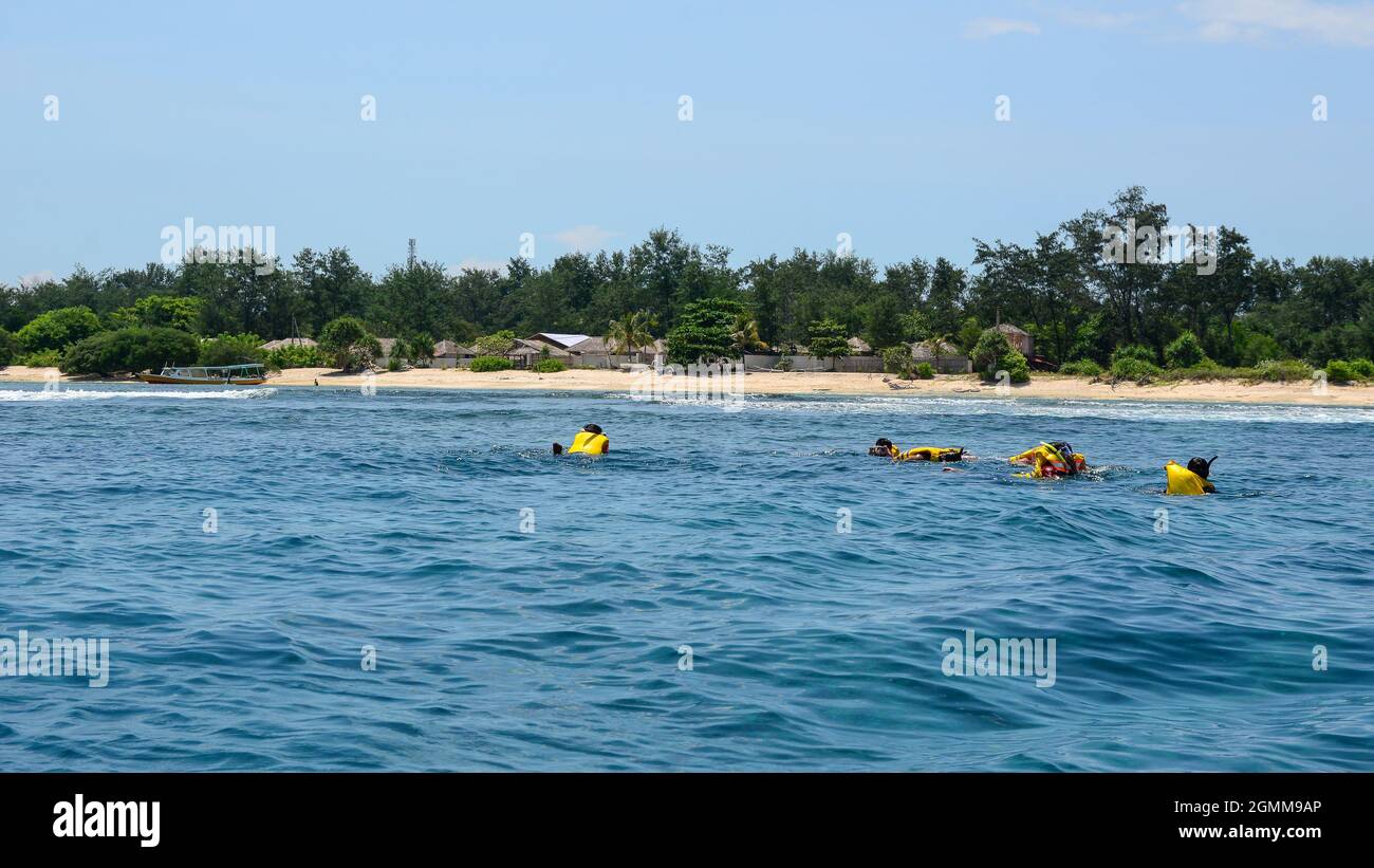 Tourists are scuba diving to see corals on Gili Islands, Indonesia ...