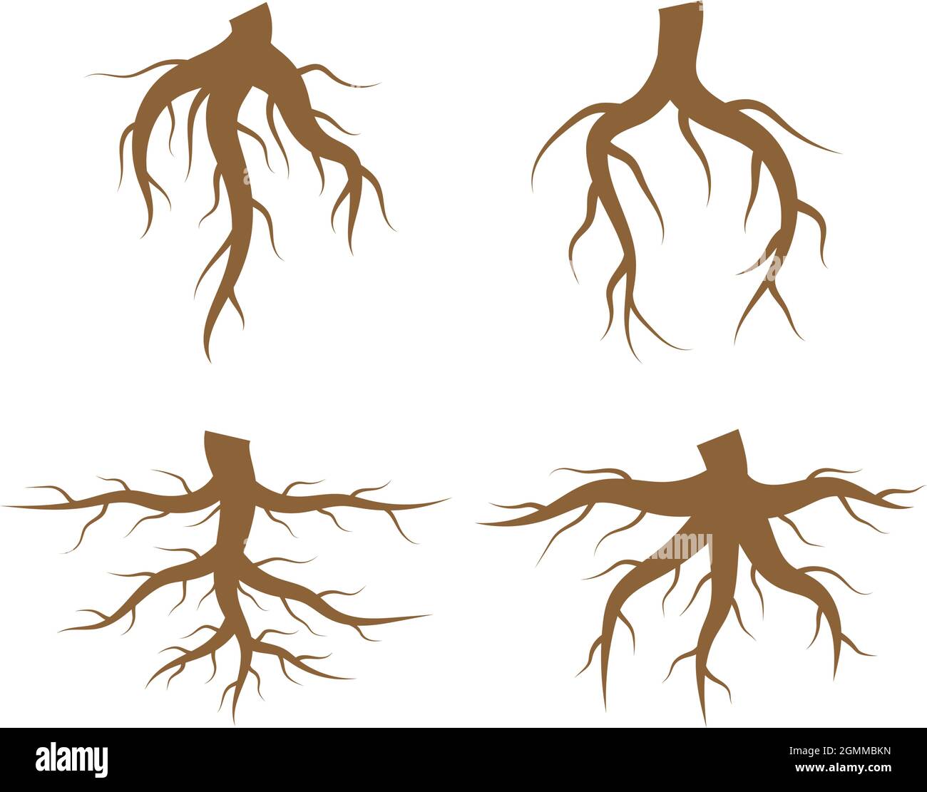 Tree trunk summer roots Stock Vector Images - Alamy