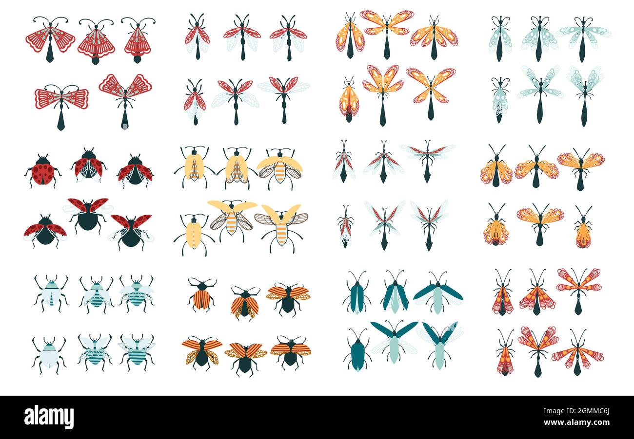 Set of simple flat dragonfly with different wings collection insects ...