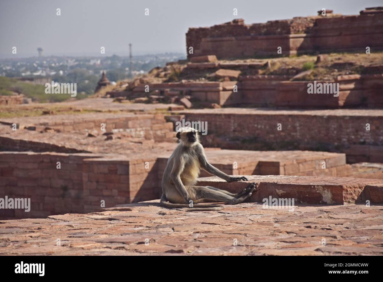 ruins of mandore fort jodhpur rajasthan india Stock Photo - Alamy