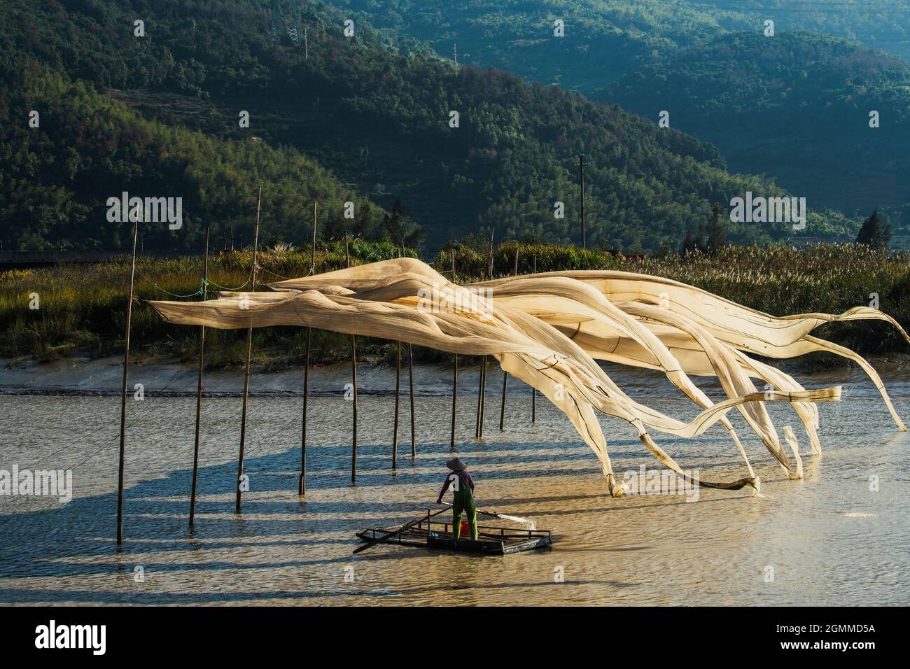 XIAPU, CHINA – DEC 08, 2019: A fisherman hangs giant fishing nets to ...