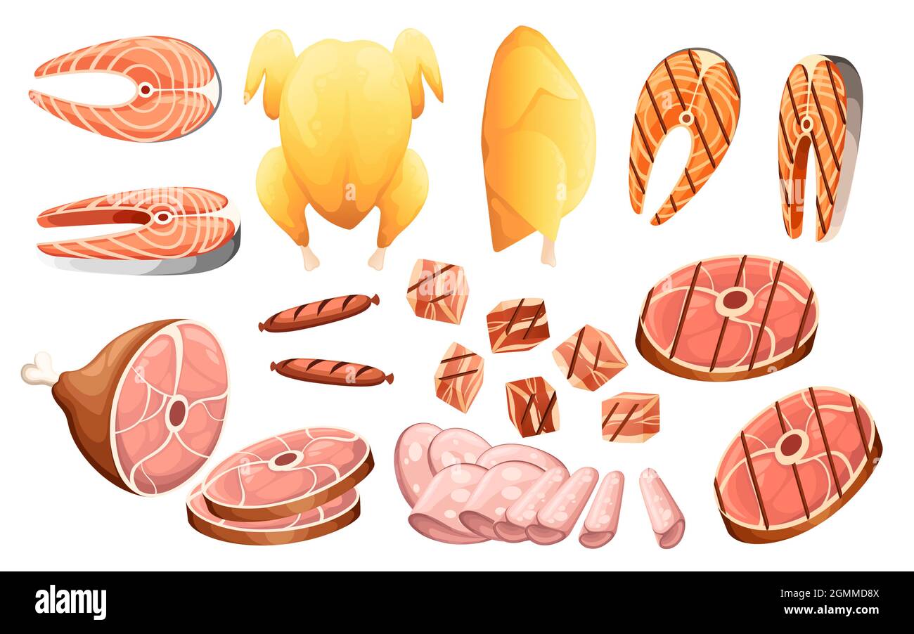 Set of different types of meat chicken pig beef and fish vector ...