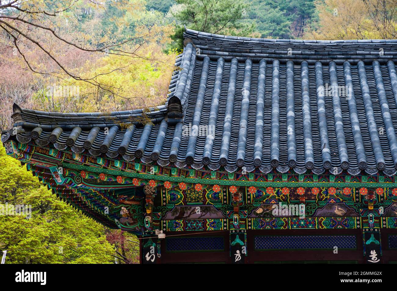 Hyangcheonsa hi-res stock photography and images - Alamy
