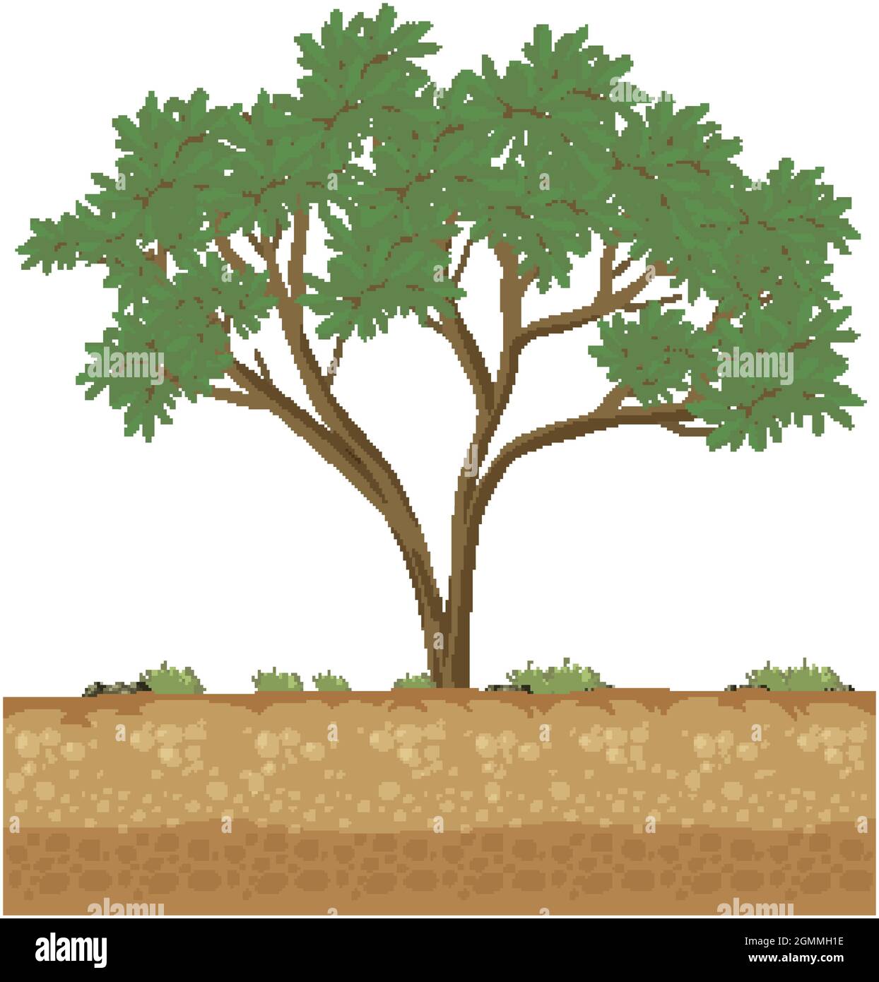 Big tree growing on solid soil illustration Stock Vector Image & Art ...