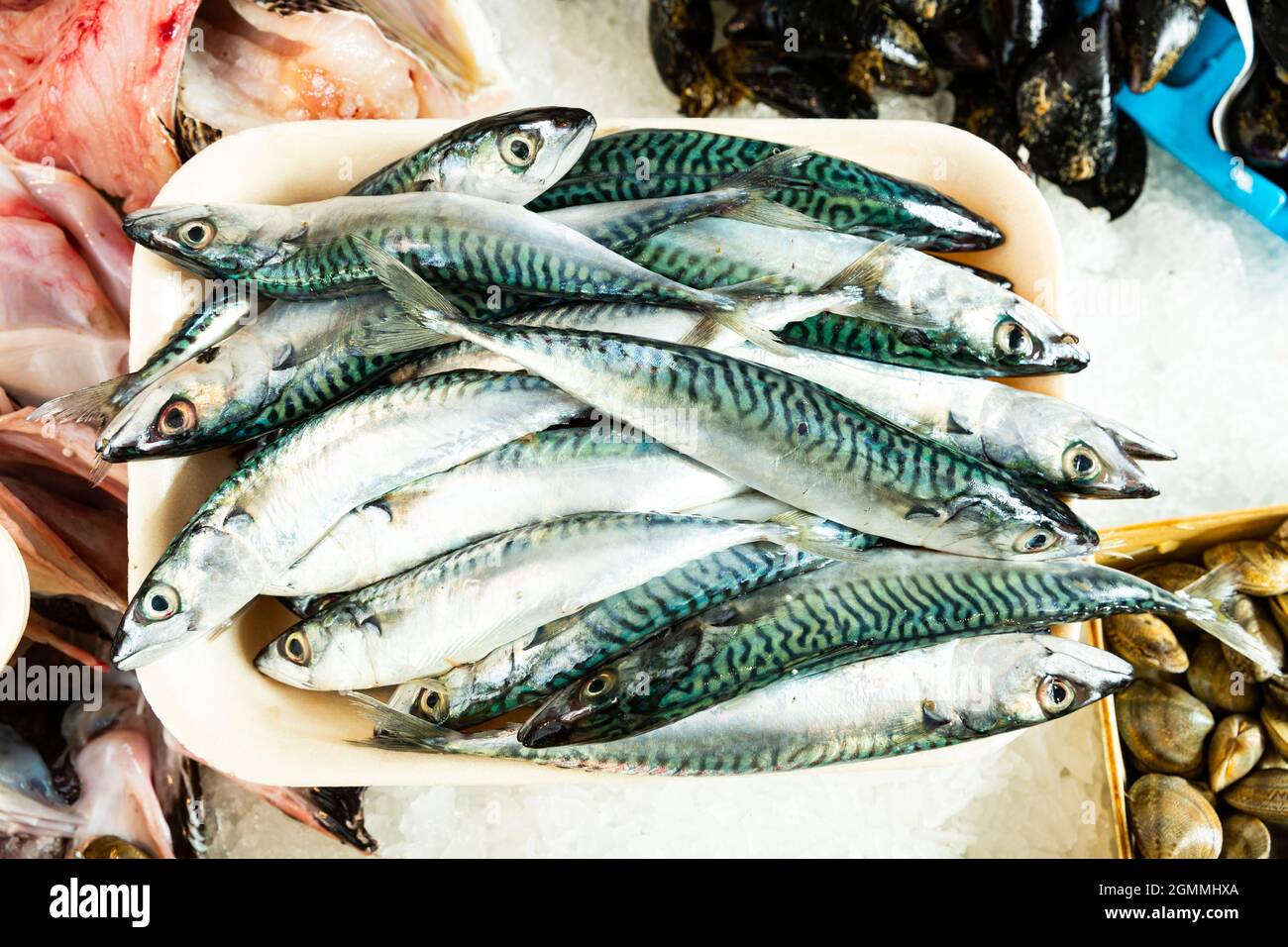 Fresh mackerel in fish store showcase Stock Photo - Alamy