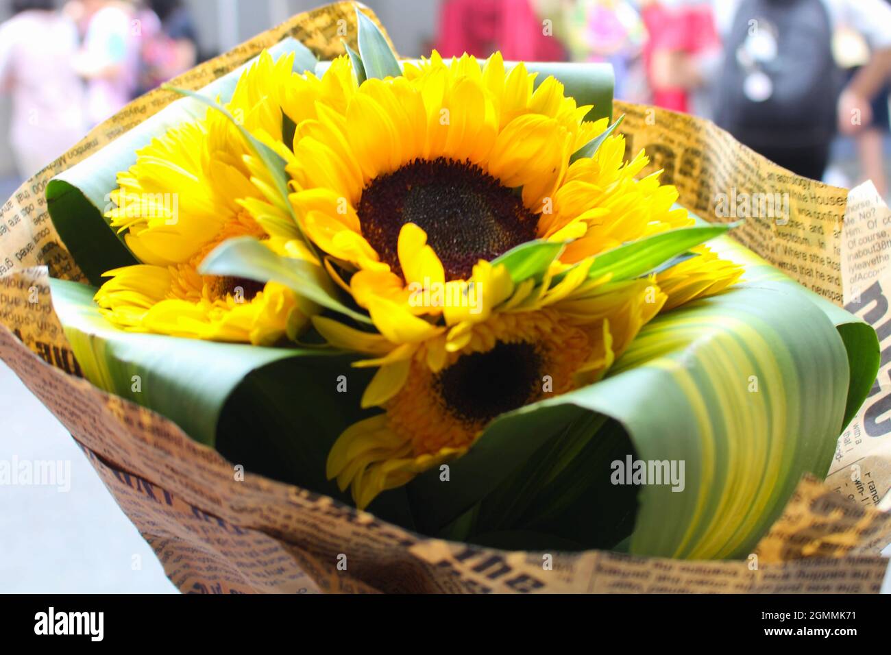 a bouquet of sunflowers as a graduation gift Stock Photo - Alamy