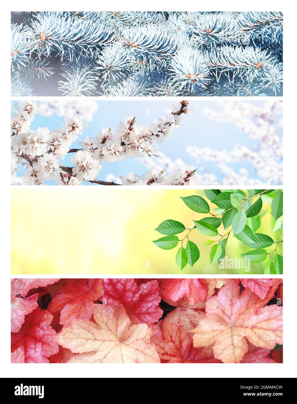 Four seasons of year. Set of horizontal nature banners with winter ...