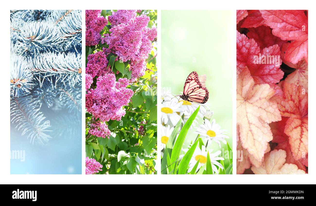 Four seasons of year. Set of vertical nature banners with winter ...