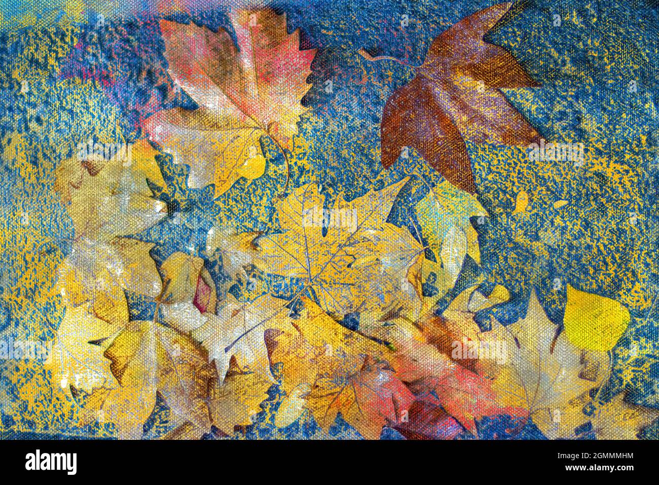 Colorful fallen leaves on the sidewalk. Autumn rain soaks the fallen ...