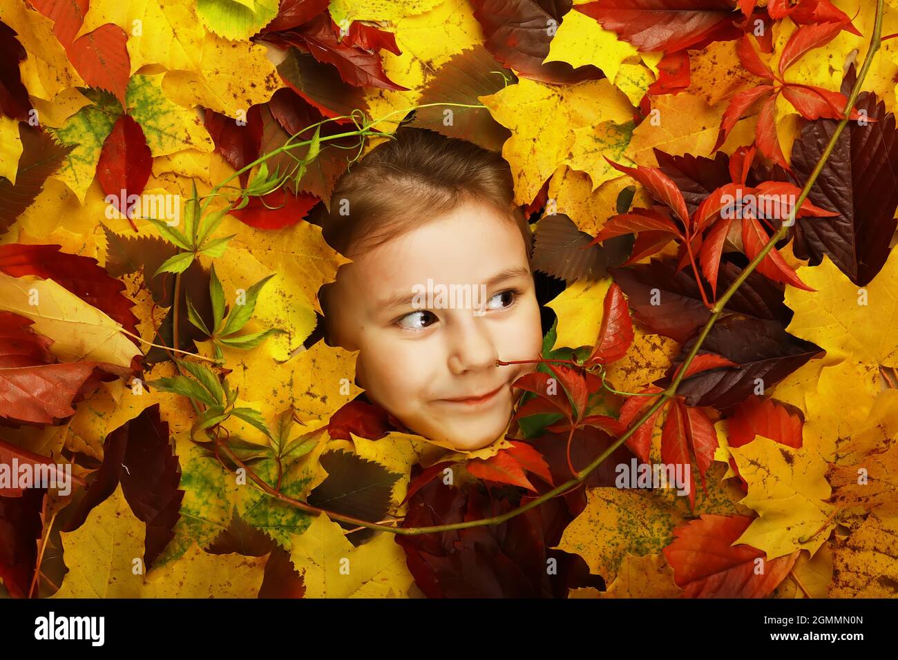 Artistic conceptual autumn portrait. Colorful leaves. Leaves of trees ...