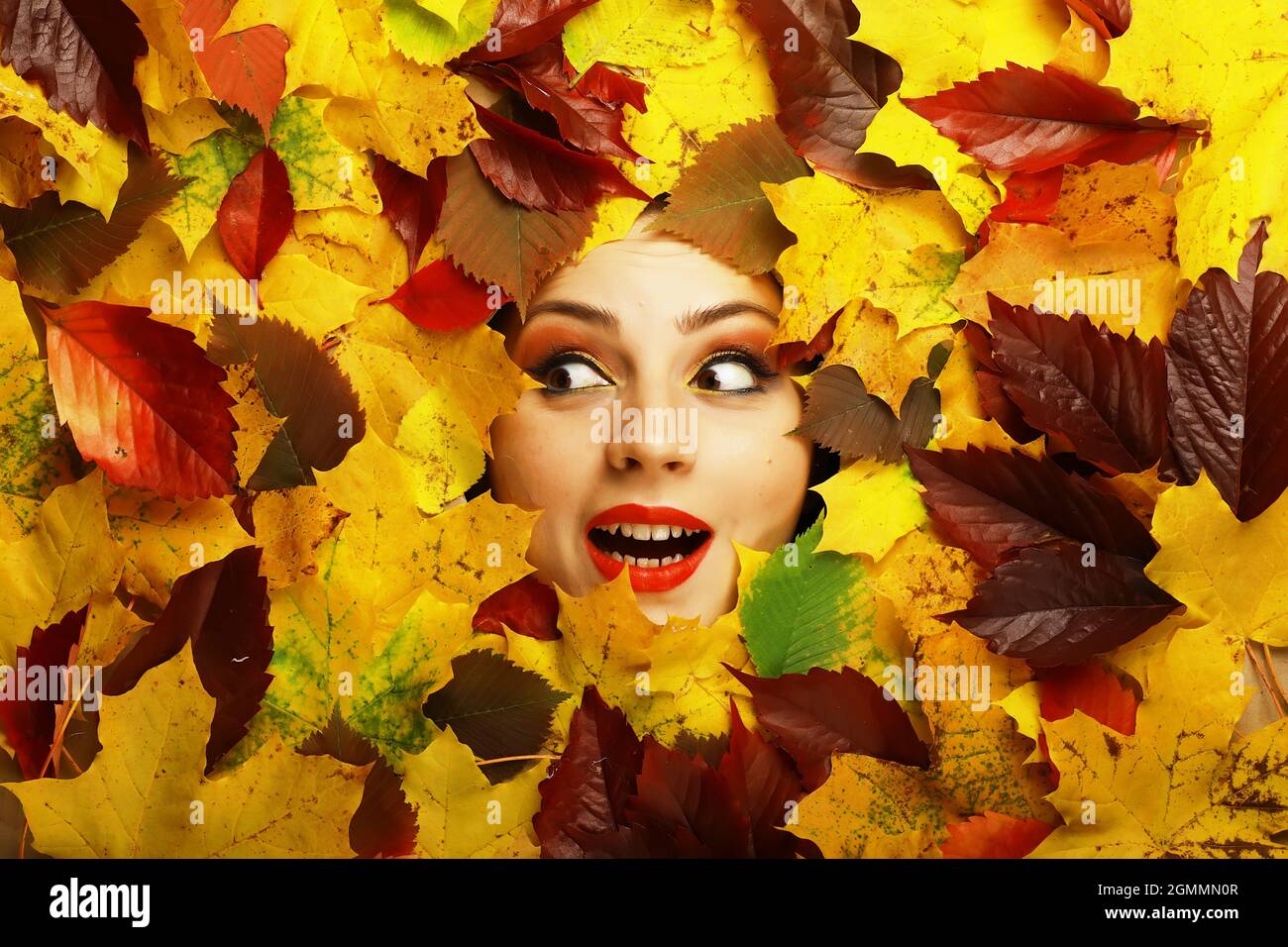 Artistic conceptual autumn portrait. Colorful leaves. Leaves of trees ...