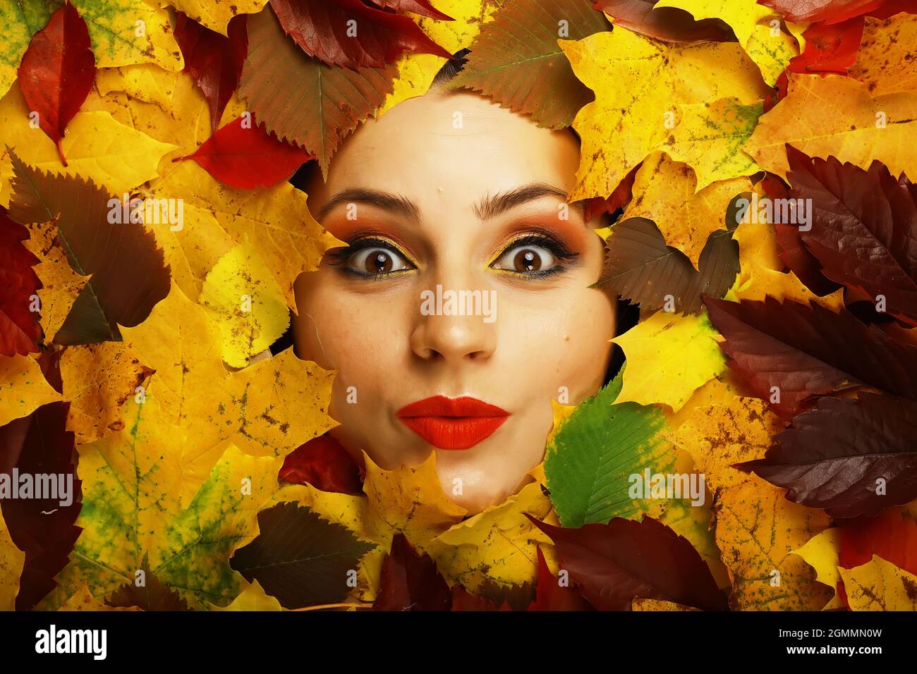 Artistic conceptual autumn portrait. Colorful leaves. Leaves of trees ...