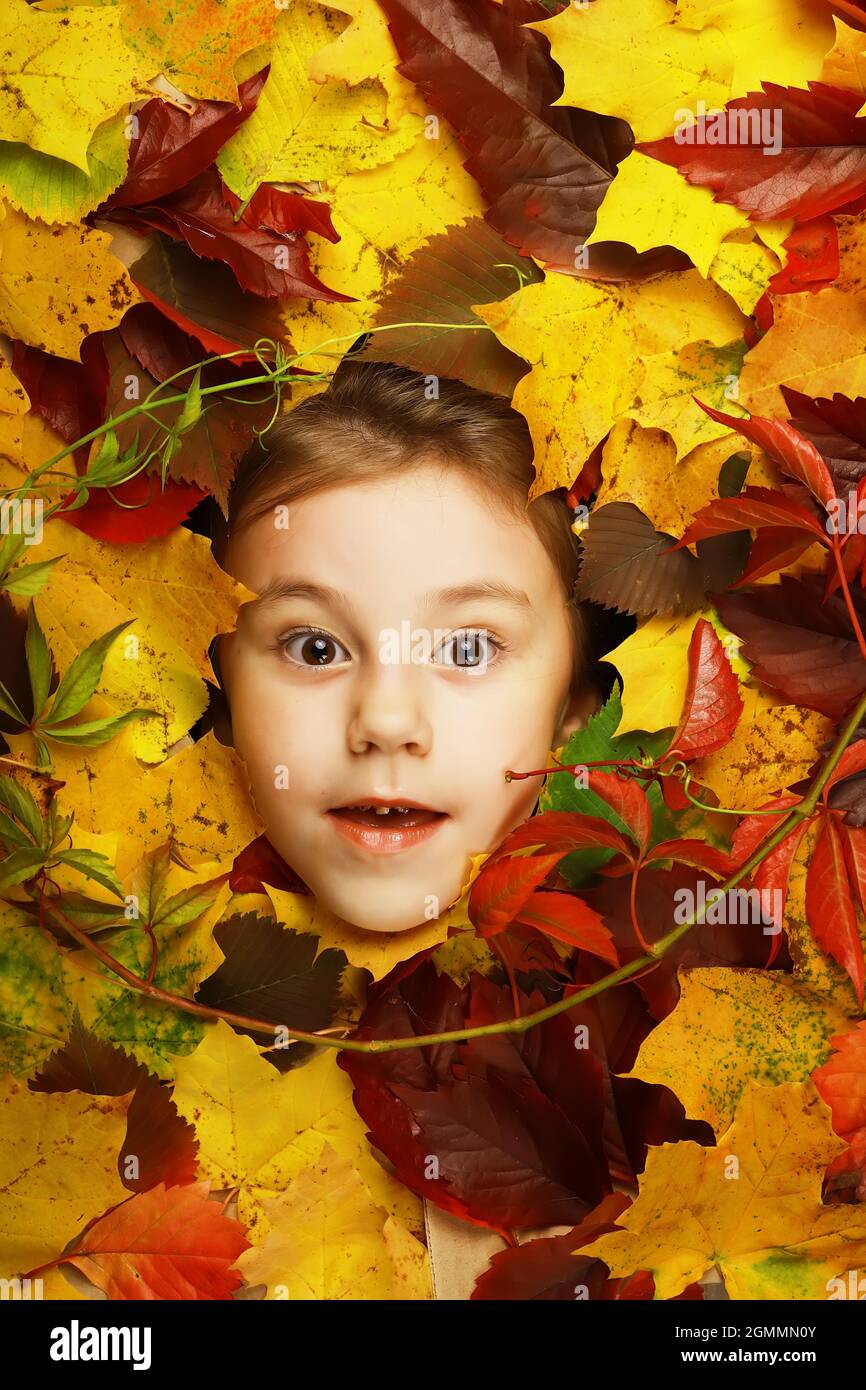 Artistic conceptual autumn portrait. Colorful leaves. Leaves of trees ...