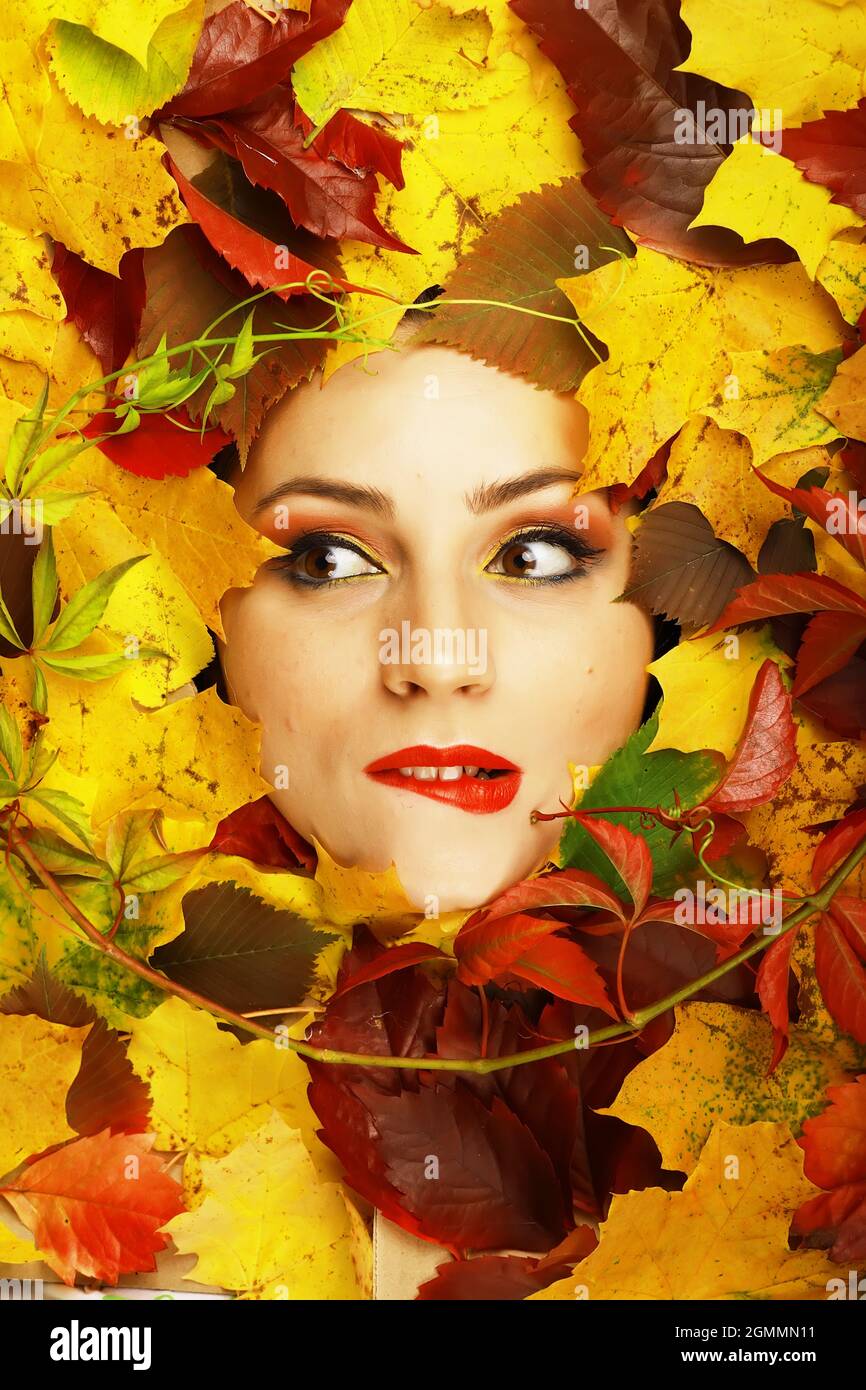 Artistic conceptual autumn portrait. Colorful leaves. Leaves of trees ...