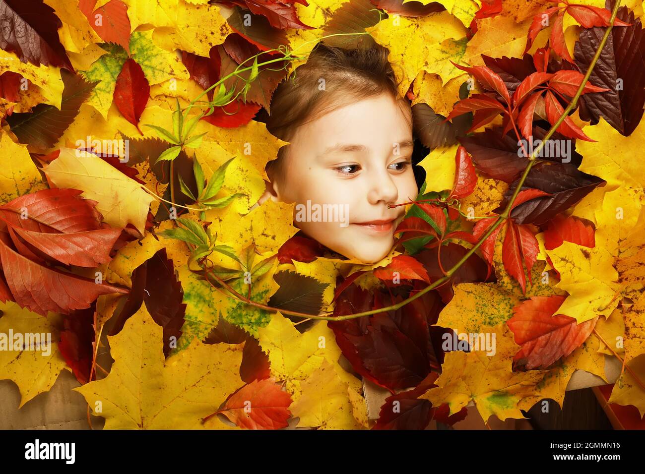 Artistic conceptual autumn portrait. Colorful leaves. Leaves of trees ...